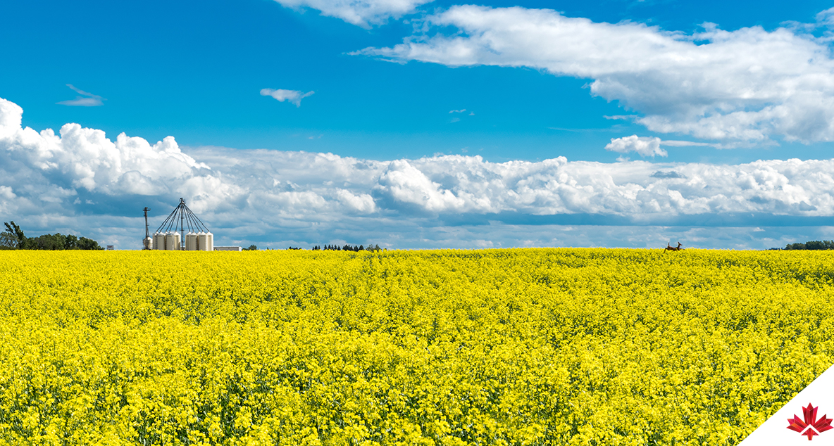 Regional Spotlight: Saskatchewan | Invest in Canada